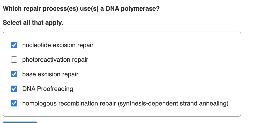 Solved Which repair process(es) use(s) a DNA polymerase? | Chegg.com