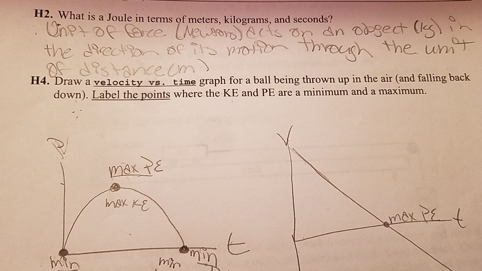 Solved Ju st the velocity vs time graph and explanation of | Chegg.com