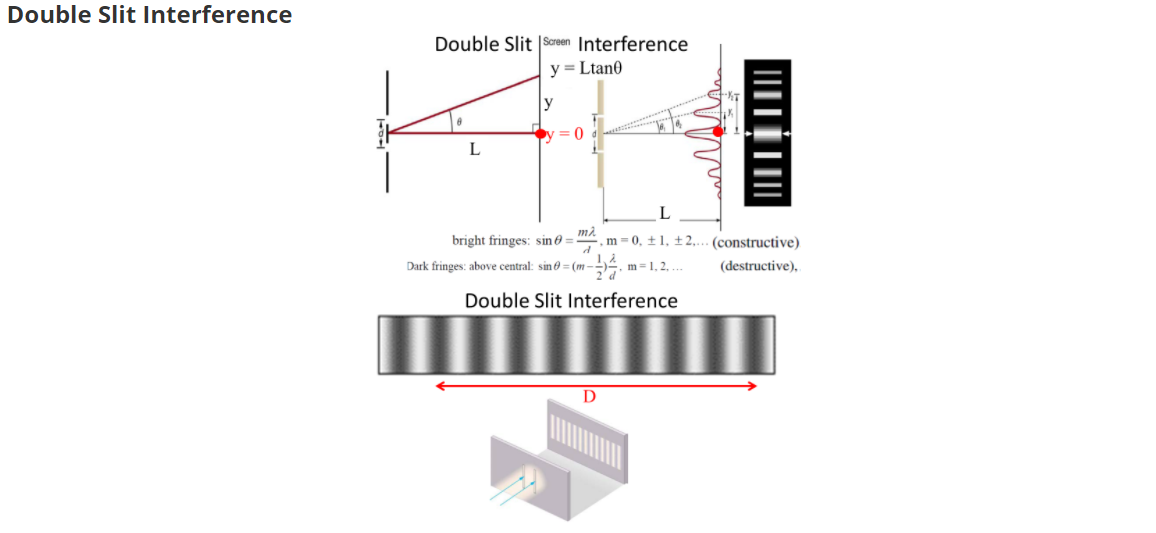 Solved Double Slit Interference Double Slit Screen | Chegg.com