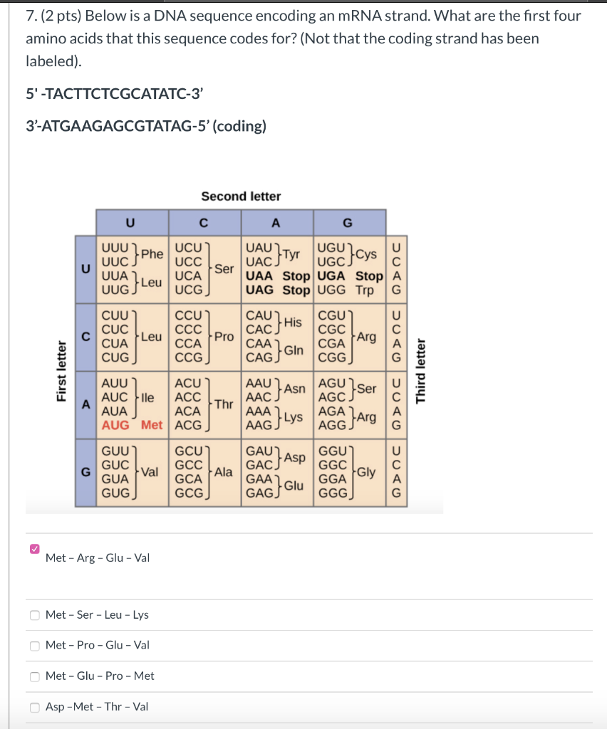 Solved 7.(2 pts) Below is a DNA sequence encoding an mRNA | Chegg.com
