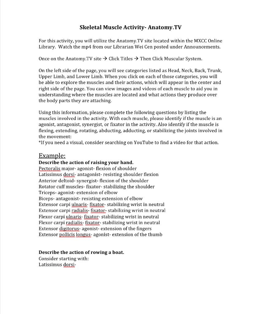 Solved i just need help with Describe the action of rowing | Chegg.com