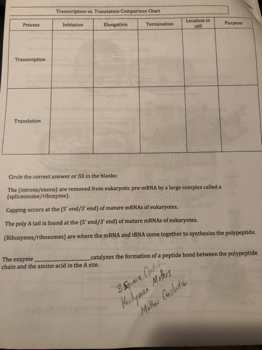 Solved Transcription vs. Translation Comparison Chart | Chegg.com