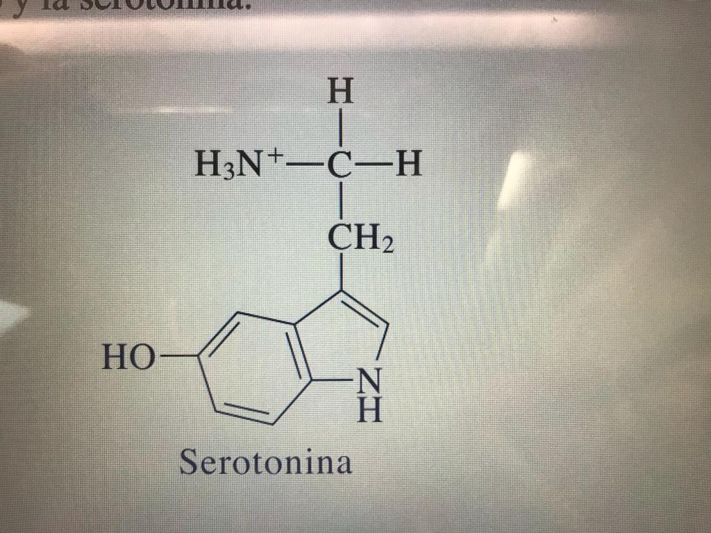 Solved Several common amino acids are modified to | Chegg.com