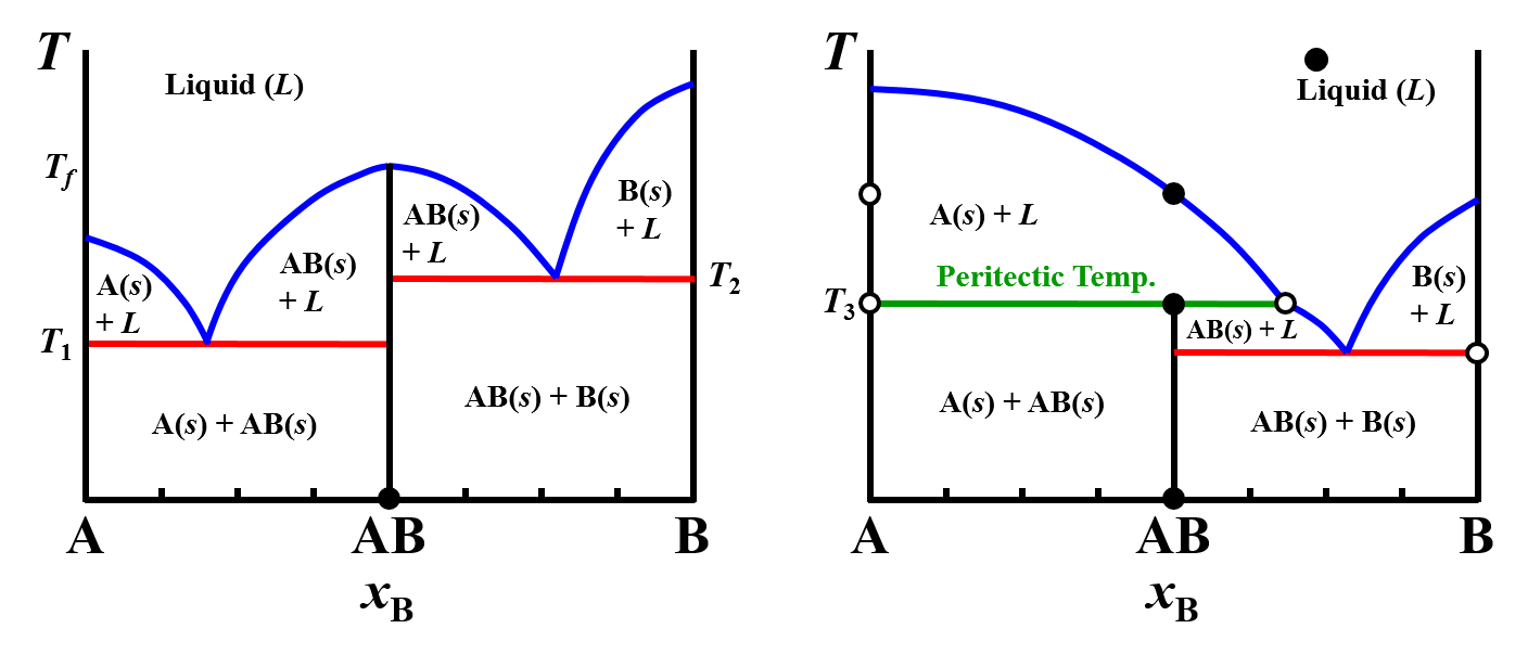 1. In the above phase diagram, can you compare the | Chegg.com