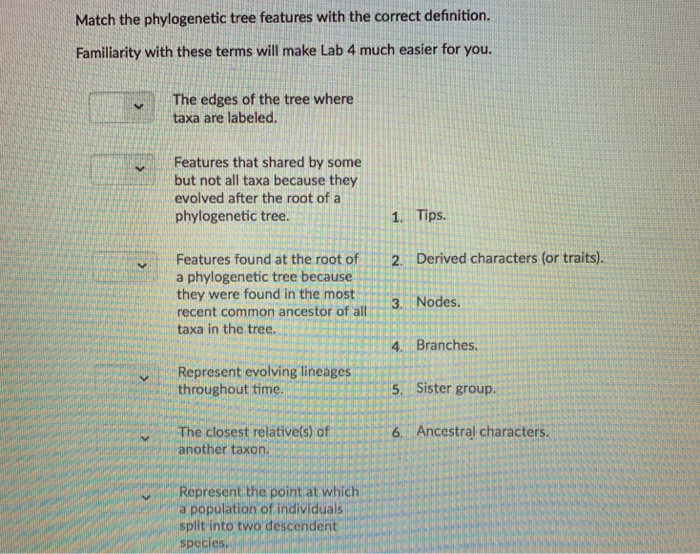 Solved Question 2 (1 point) Match the following terms with | Chegg.com