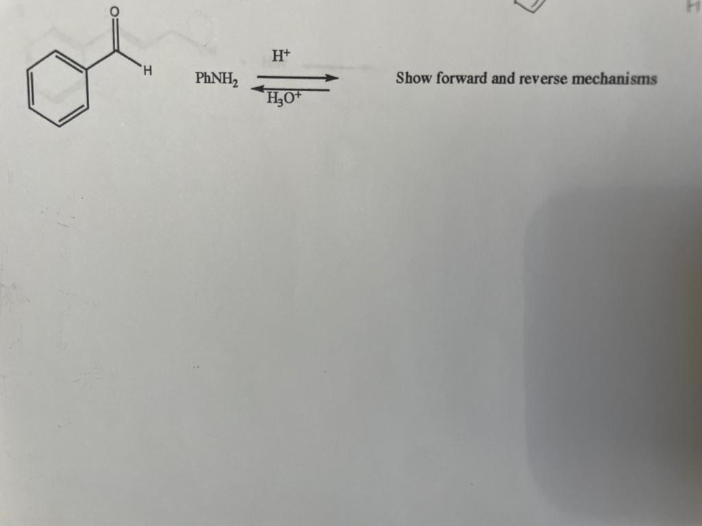 Solved PhNH2H+H3O+ Show forward and reverse mechanisms | Chegg.com