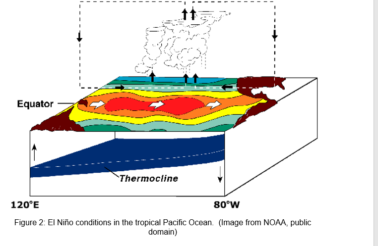 Solved Use figure 1 to answer questions 1-12. - --- -- - -- | Chegg.com