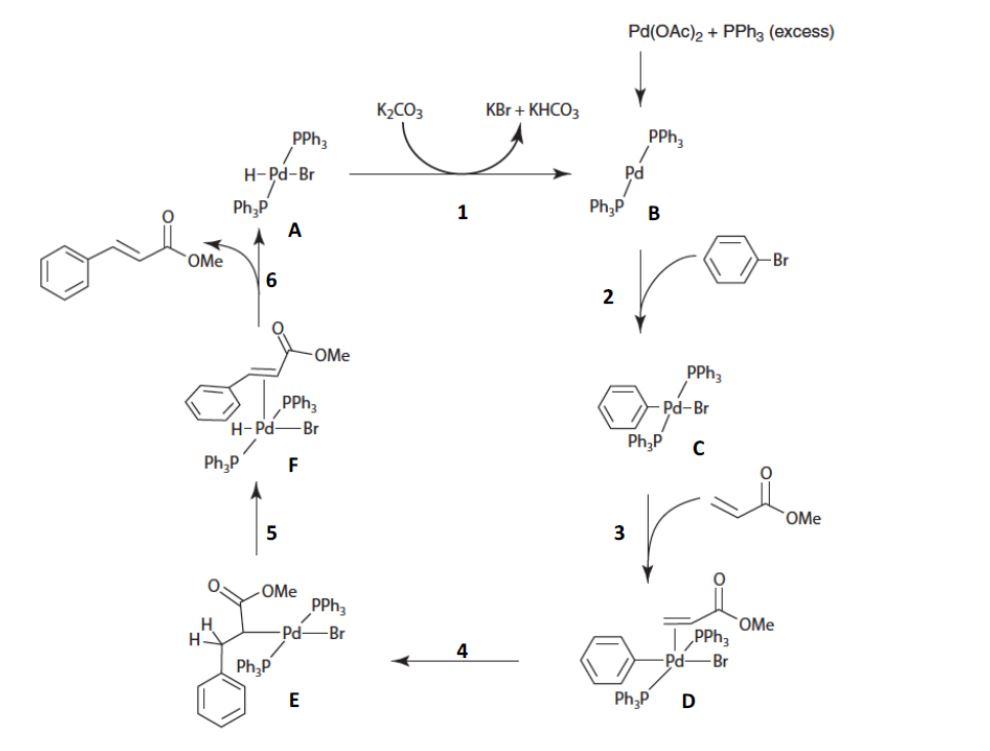 Solved The cycle below shows a typical heck coupling | Chegg.com