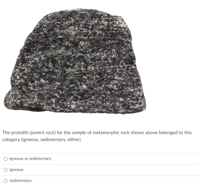 Solved The protolith (parent rock) for the sample of | Chegg.com