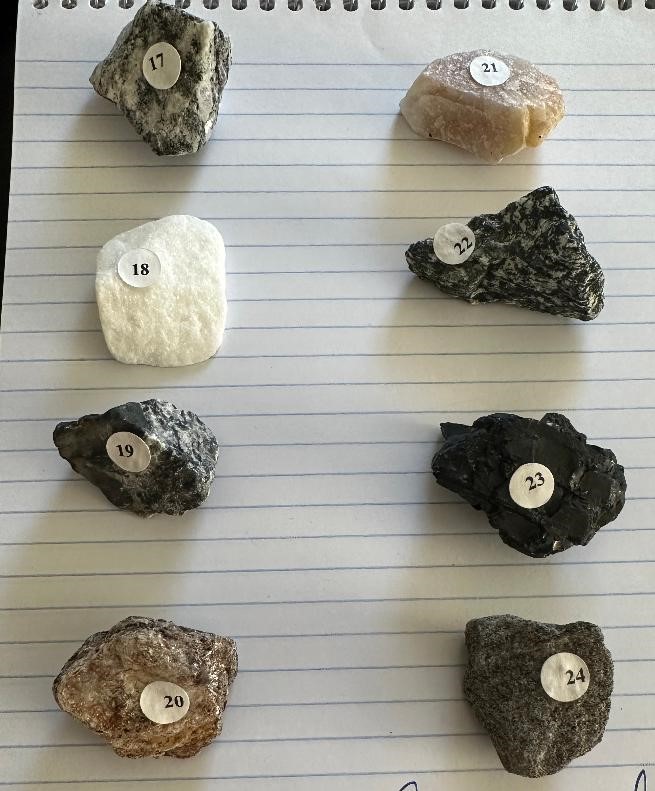 Solved can anyone identify these metamorphic rocks? | Chegg.com