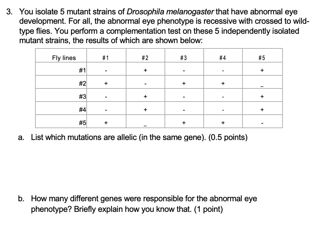 Solved 3. You isolate 5 mutant strains of Drosophila | Chegg.com