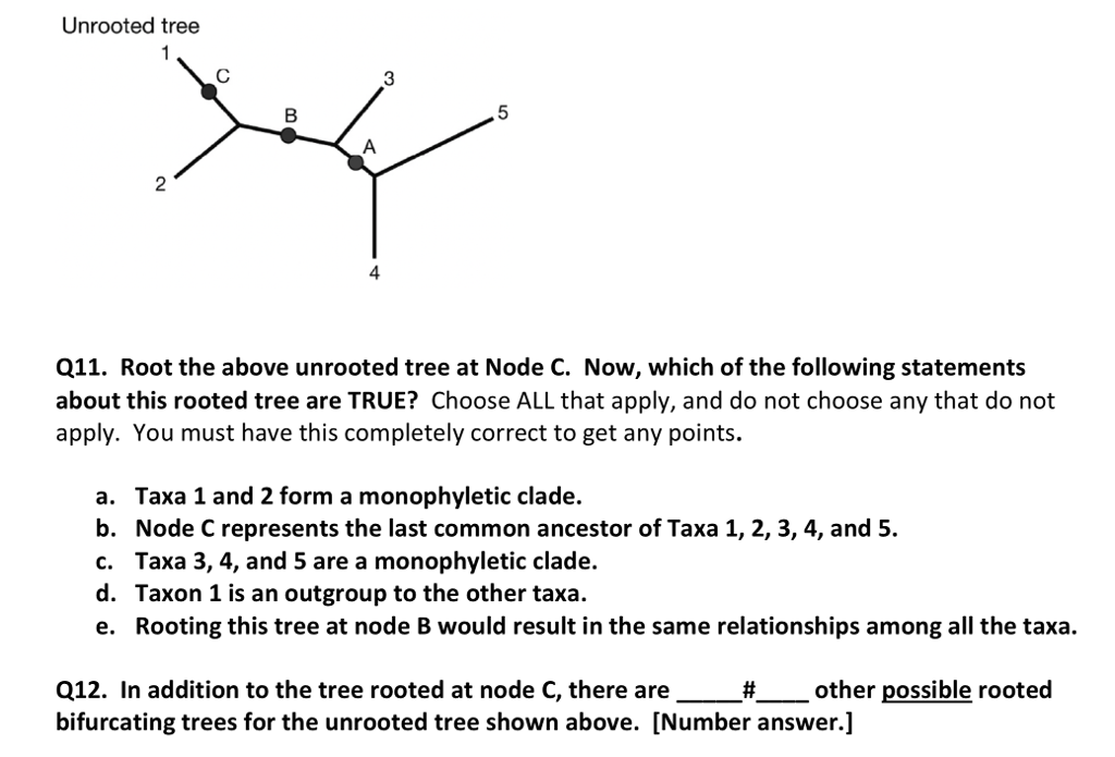 Solved Unrooted tree 3 5 2 4 Q11. Root the above unrooted | Chegg.com
