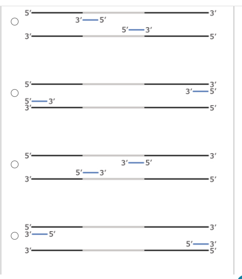 Solved Part J Consider the double-stranded DNA molecule | Chegg.com