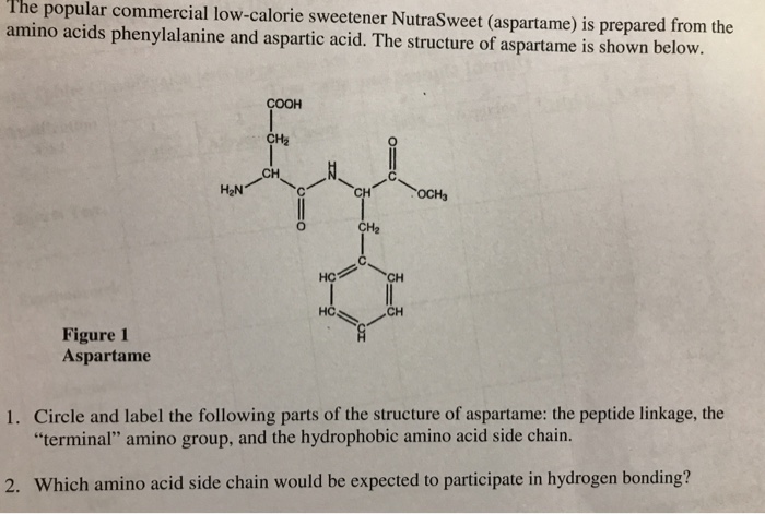 Solved The popular commercial low-calorie sweetener | Chegg.com
