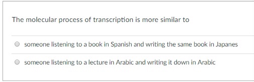 Solved The molecular process of transcription is more | Chegg.com