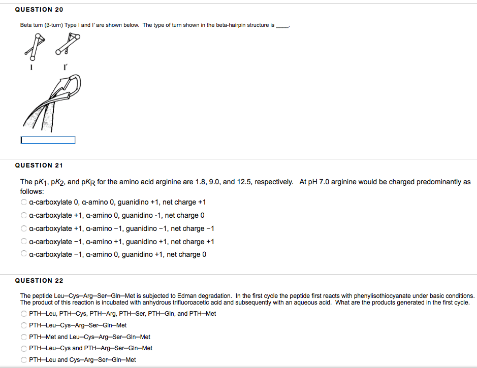 Solved QUESTION 20 Beta turn (B-turn) Type I and I' are | Chegg.com