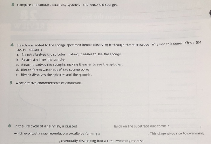 Solved 3 Compare and contrast asconoid, syconoid, and | Chegg.com