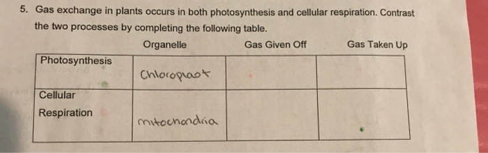 Solved 5. Gas exchange in plants occurs in both | Chegg.com