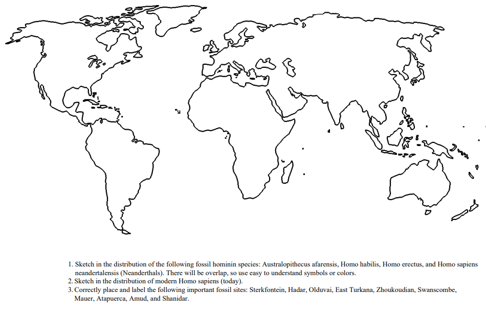 Australopithecus Afarensis Map