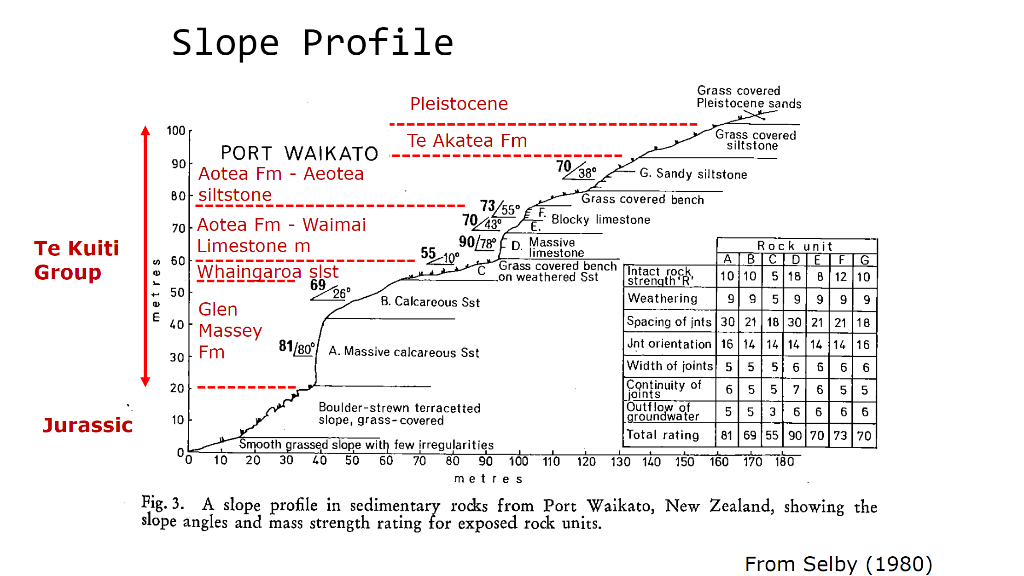 Solved Detailed descriptions of Port Waikato rock types, | Chegg.com