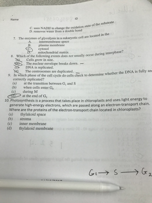 Solved PROBLEMS SOLVING SESSION #4 SECTION I MULTIPLE CHOICE | Chegg.com