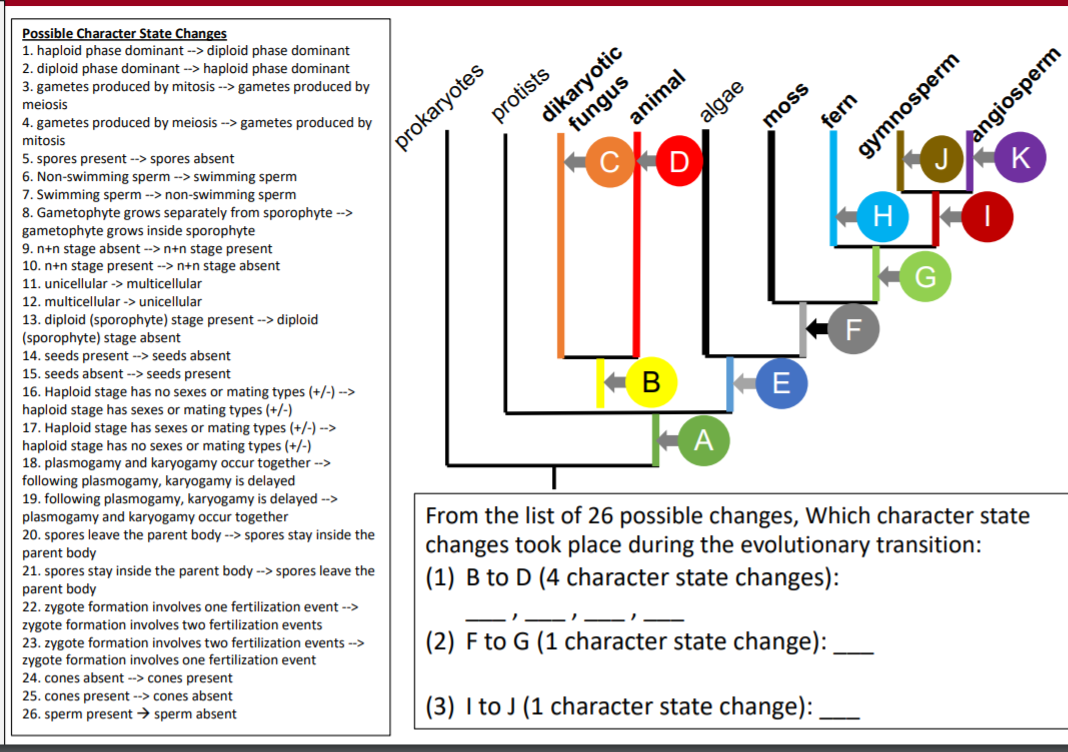 Solved I need to know what are the 4 character state changes | Chegg.com