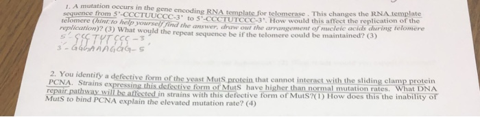 Solved 1. A mutation occurs in the gene encoding RNA | Chegg.com