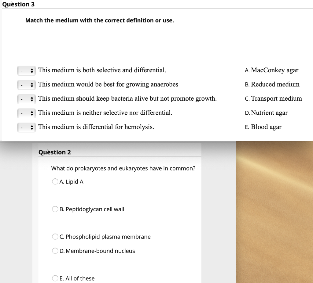 Solved Question 3 Match the medium with the correct | Chegg.com