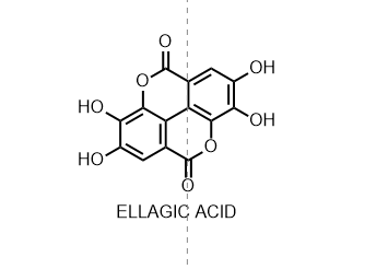 For ellagic acid (structure as below), can K2CO3 | Chegg.com
