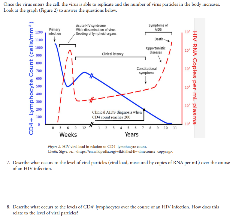 Solved Once the virus enters the cell, the virus is able to | Chegg.com