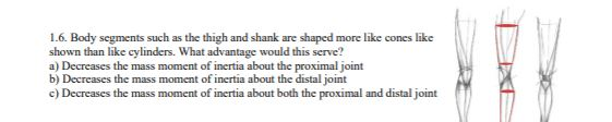 Solved 1.6. Body segments such as the thigh and shank are | Chegg.com