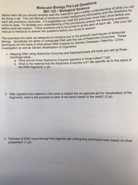 Molecular Biology Pre-Lab Questions BIO | Chegg.com