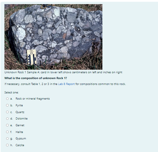Solved Unknown Rock 1 Sample B; sample is ∼10 centimeters | Chegg.com