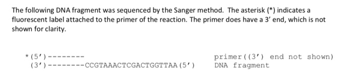 Solved The following DNA fragment was sequenced by the | Chegg.com