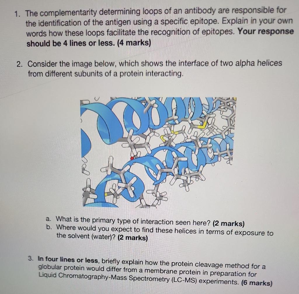 Solved 1. The complementarity determining loops of an | Chegg.com