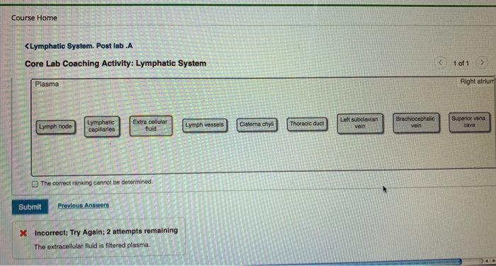 Solved Course Home | Chegg.com