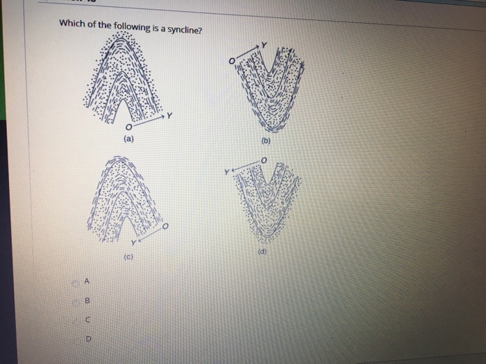 Solved esponse. Question 45 What type of fold is shown | Chegg.com