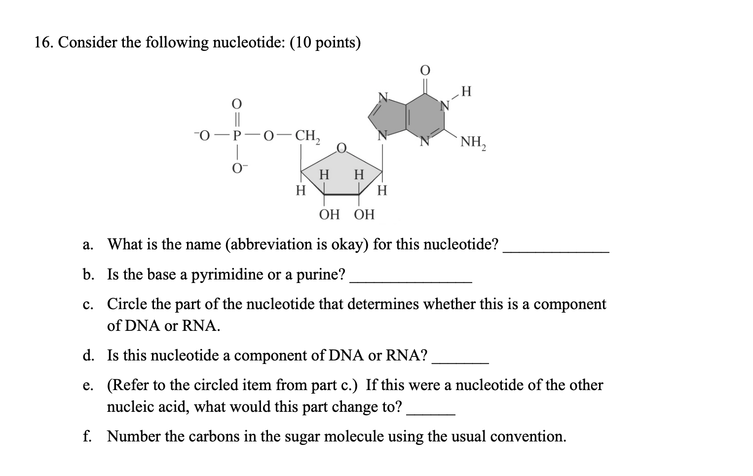 Solved 16. Consider the following nucleotide: (10 points) Н. | Chegg.com