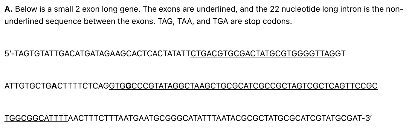 A. Below is a small 2 exon long gene. The exons are | Chegg.com
