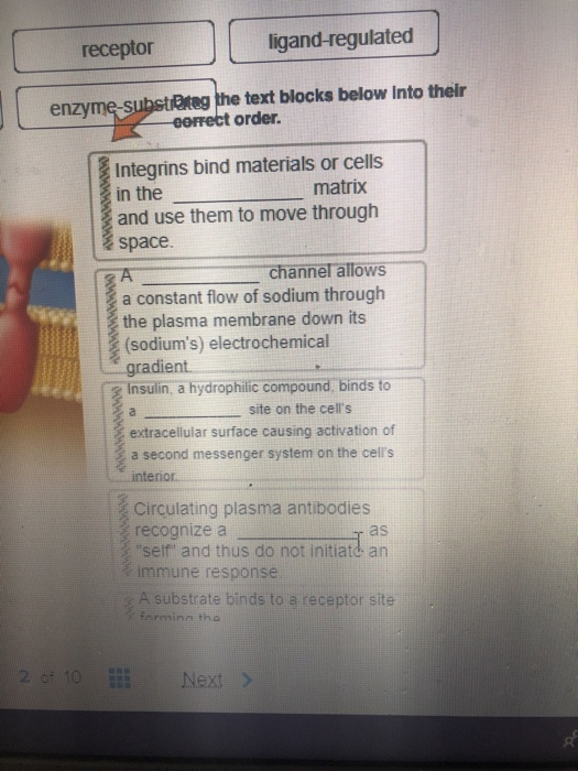 Solved receptor ligand-regulated text blocks below Into | Chegg.com