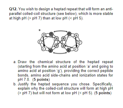 Q12. You wish to design a heptad repeat that will | Chegg.com