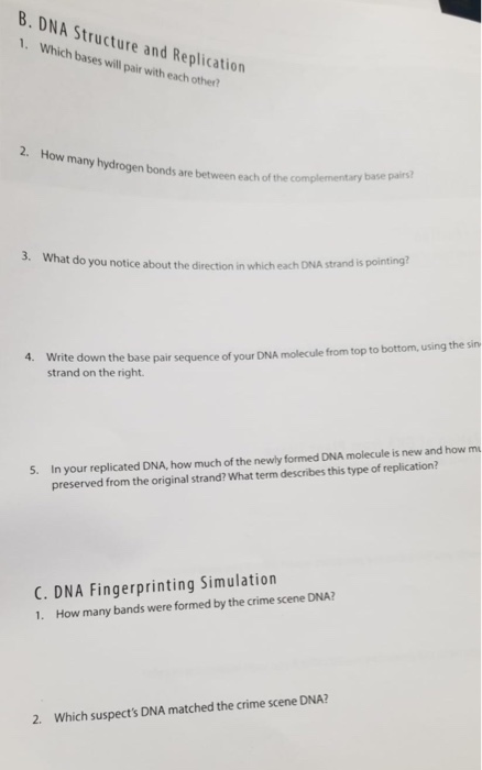 Solved B. DNA Structure and Replication 1. Which bases will | Chegg.com