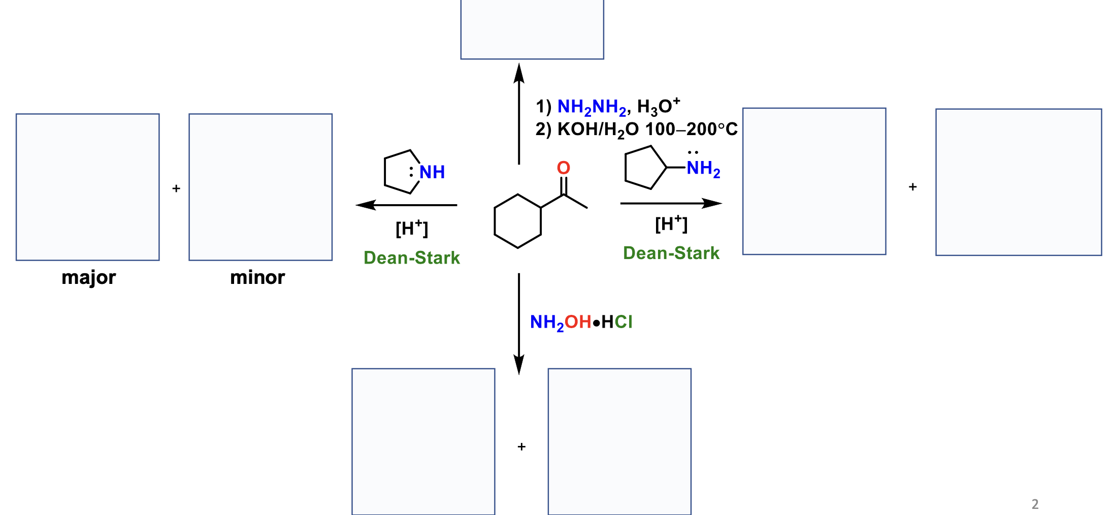 Solved major minor 1) \\( \\mathrm{NH}_{2} \\mathrm{NH}_{2}, | Chegg.com