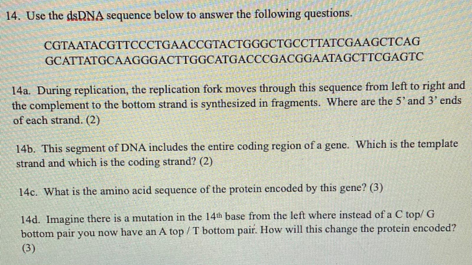 Solved 14. Use the dsDNA sequence below to answer the | Chegg.com
