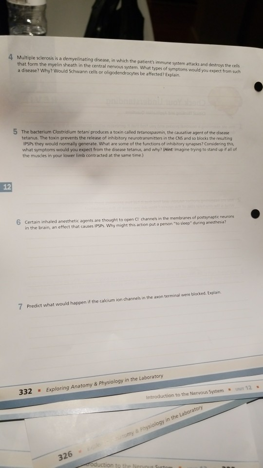 Solved Name Section Date Check Your Understanding Critical | Chegg.com