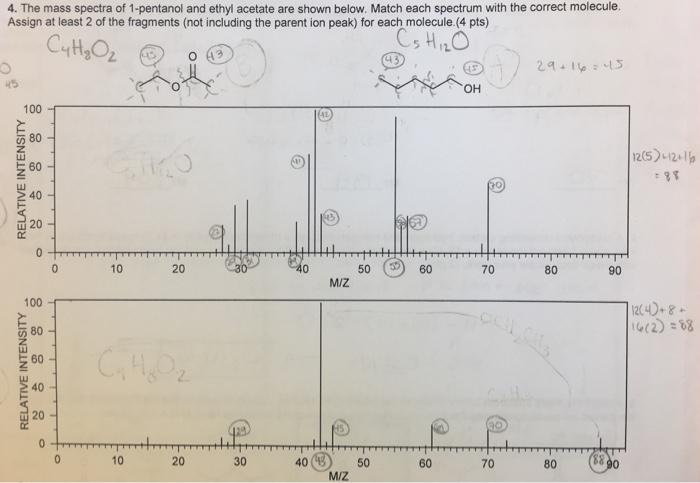 Solved 4. The mass spectra of 1-pentanol and ethyl acetate | Chegg.com