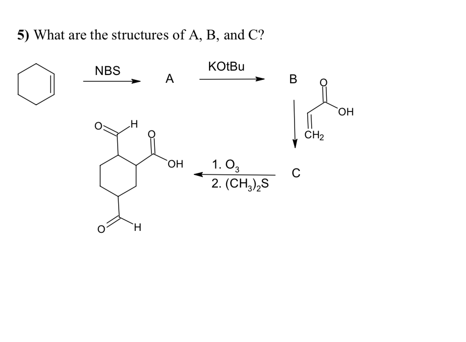 Solved 5) What are the structures of A, B, and C? NBS KOtBu | Chegg.com
