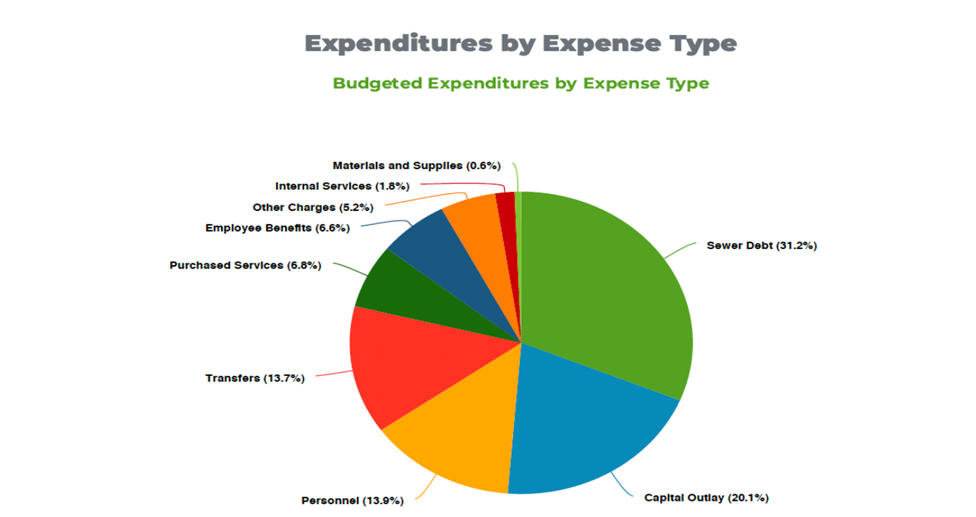 Solved Expenditures by Expense Type Budgeted Expenditures by | Chegg.com