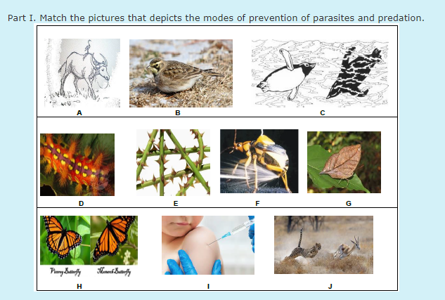 Solved Part I. Match the pictures that depicts the modes of | Chegg.com