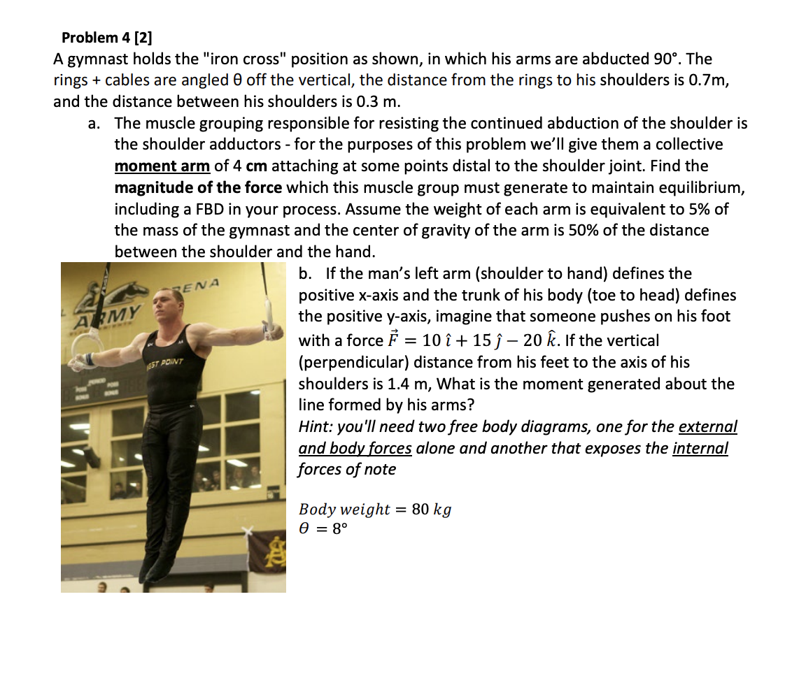 Solved Problem 4[2]A gymnast holds the "iron cross" position | Chegg.com